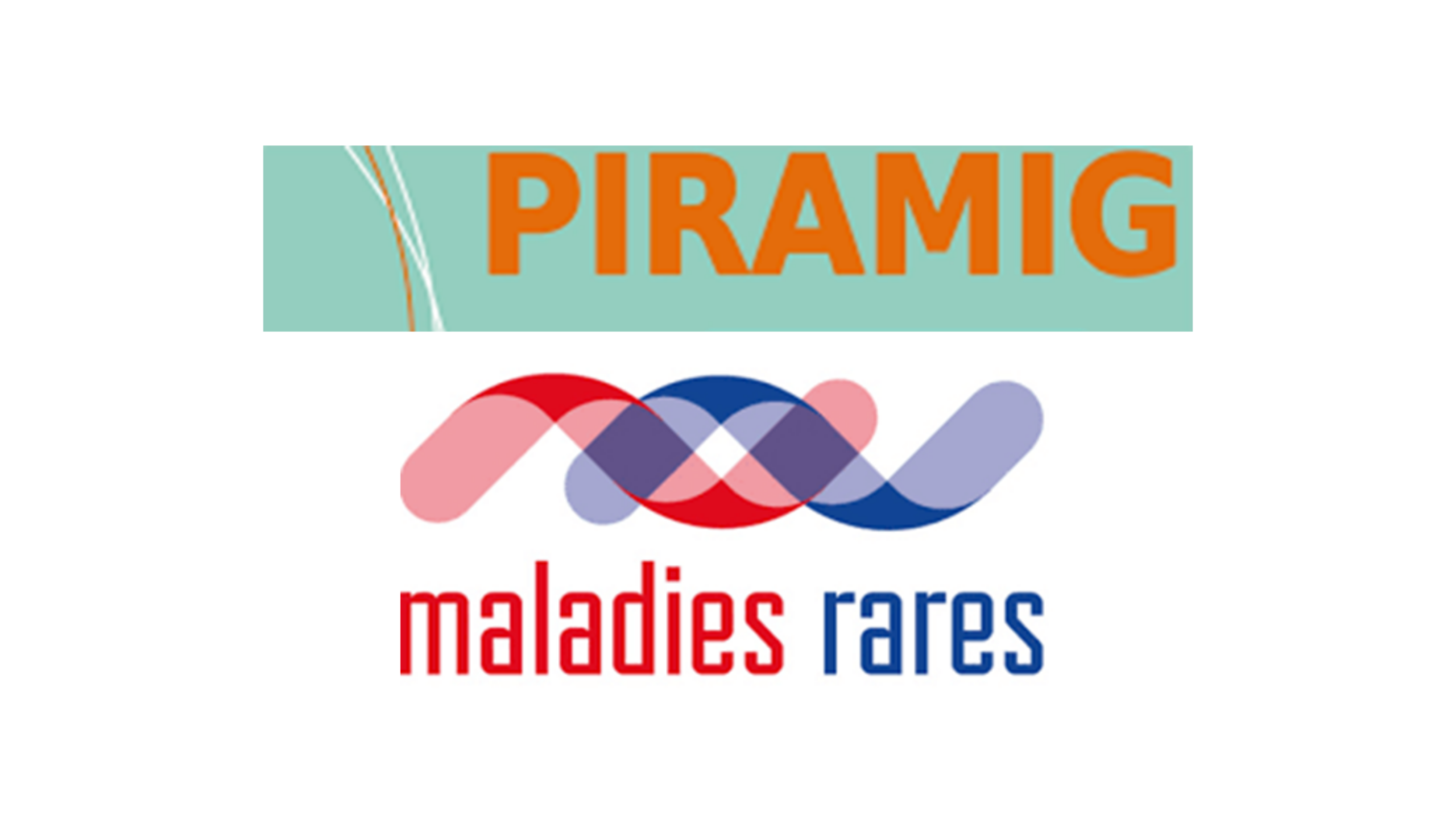 Report de la campagne Piramig 2025 - Défiscience
